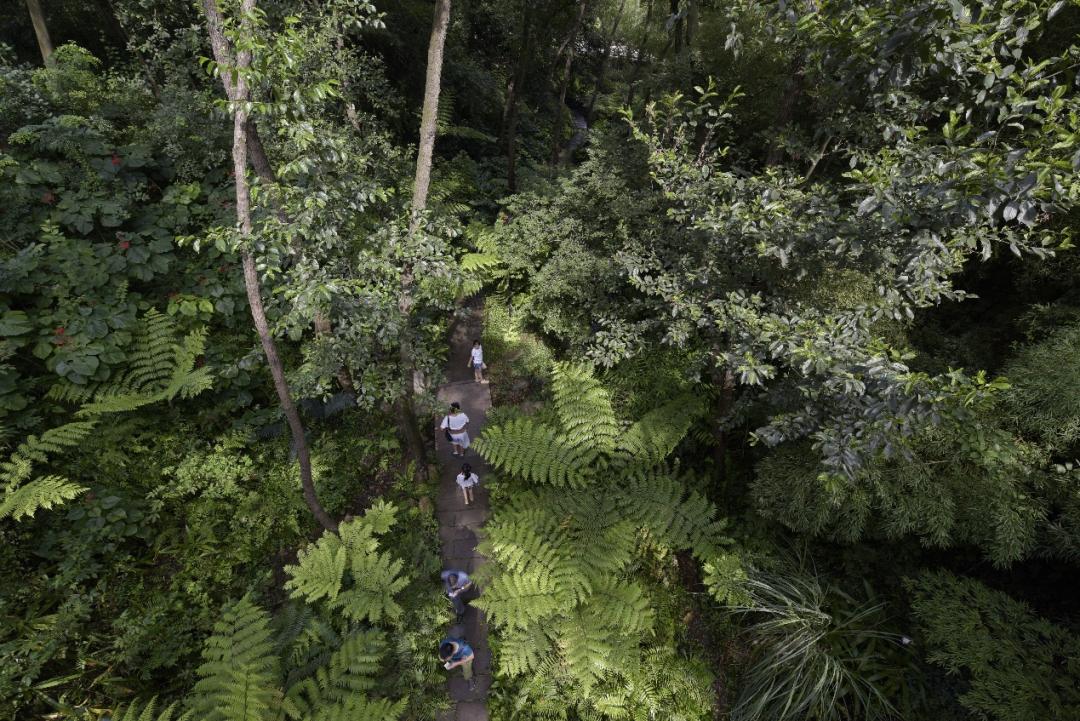 Visit the "Kingdom of Plants" and feel the charm of biodiversity - iNEWS