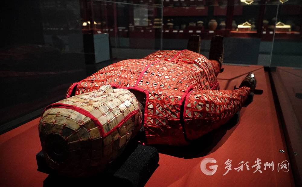 Newly launched · Guibo!Three sets of numbers, tell you why you should ...