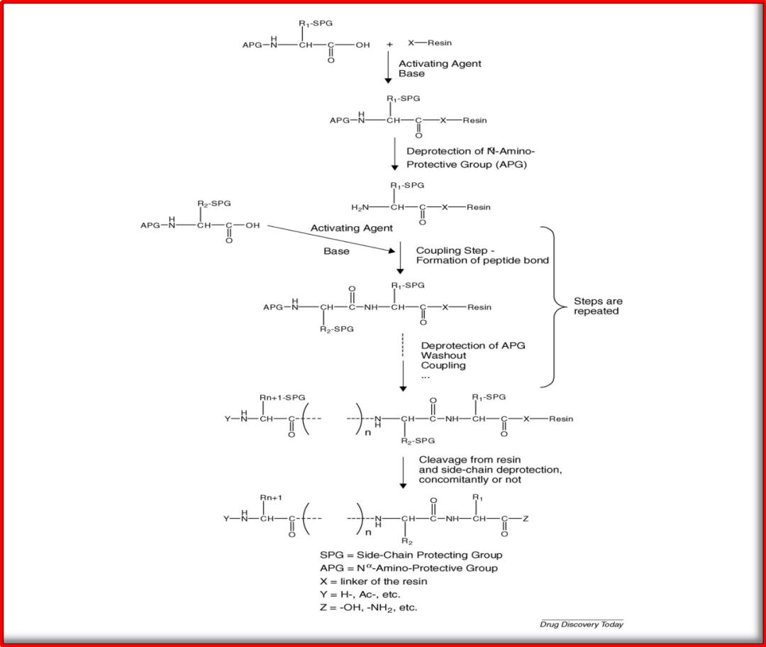Synthetic Peptides vs Small Molecule Drugs: What Are the Differences in ...