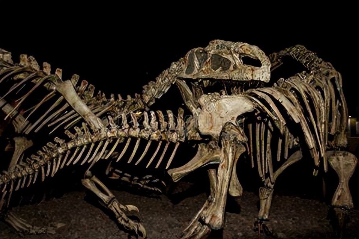 How did humans restore the appearance of dinosaurs after 65 million ...