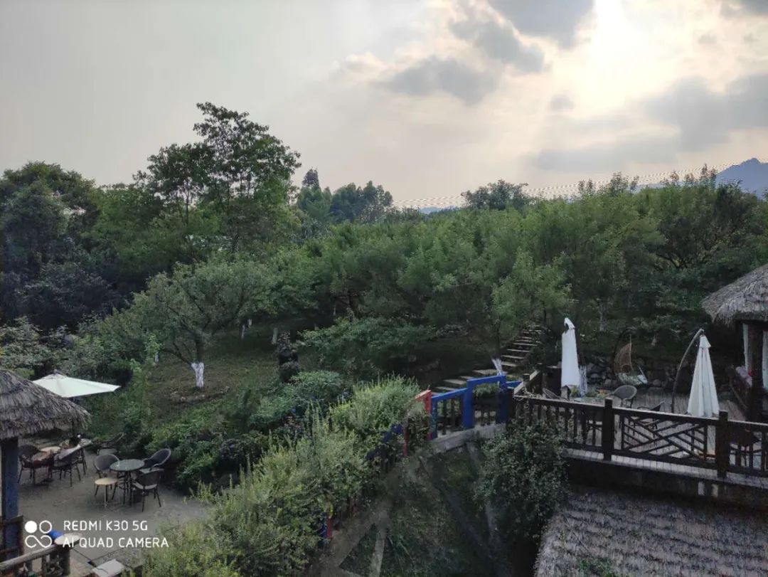 The 15-acre B&B manor has only 7 rooms, but it has received 120,000 ...