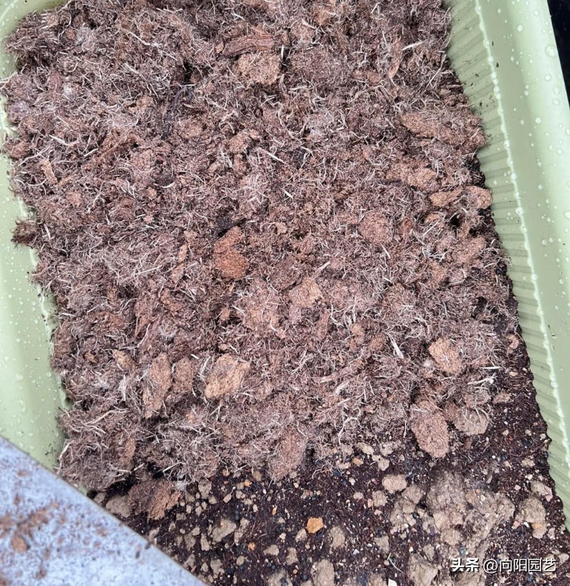The roots of plants can "eat soil", the soil is gone, and the roots are ...