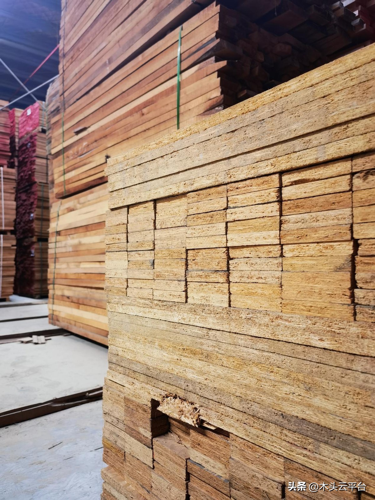 Red beech for furniture? Wood mills choose it! - iMedia