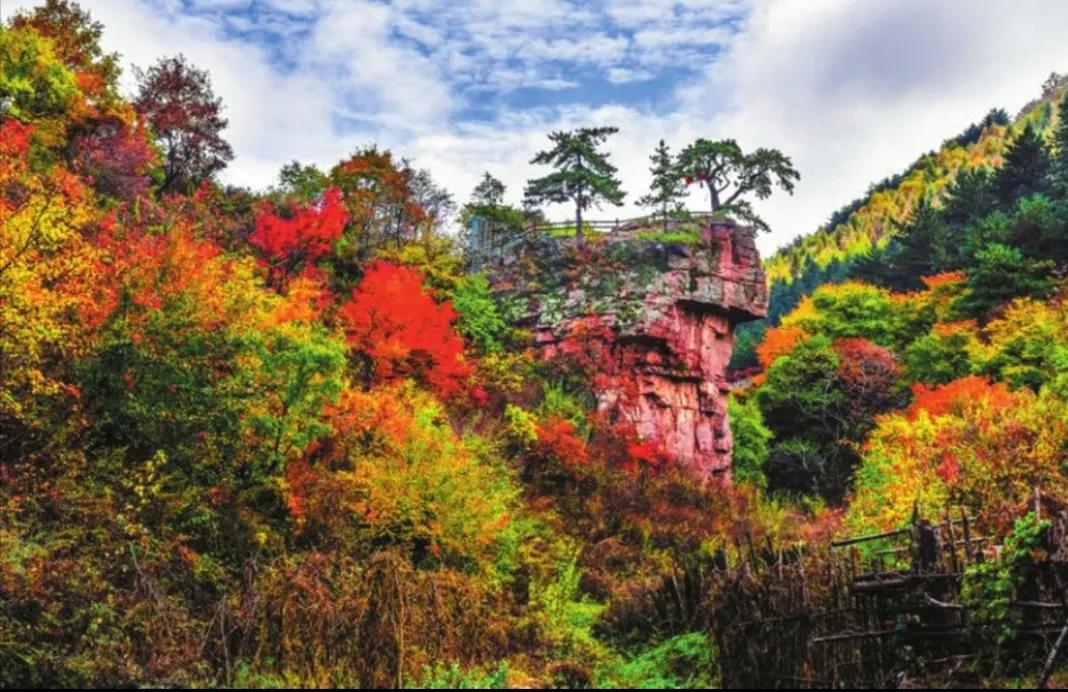 Zhongzhen Huoshan United - iNEWS