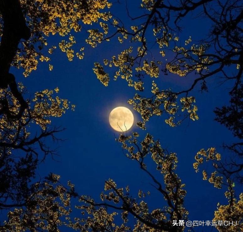 How beautiful it is to write "the moon" into poetry! Every sentence is ...