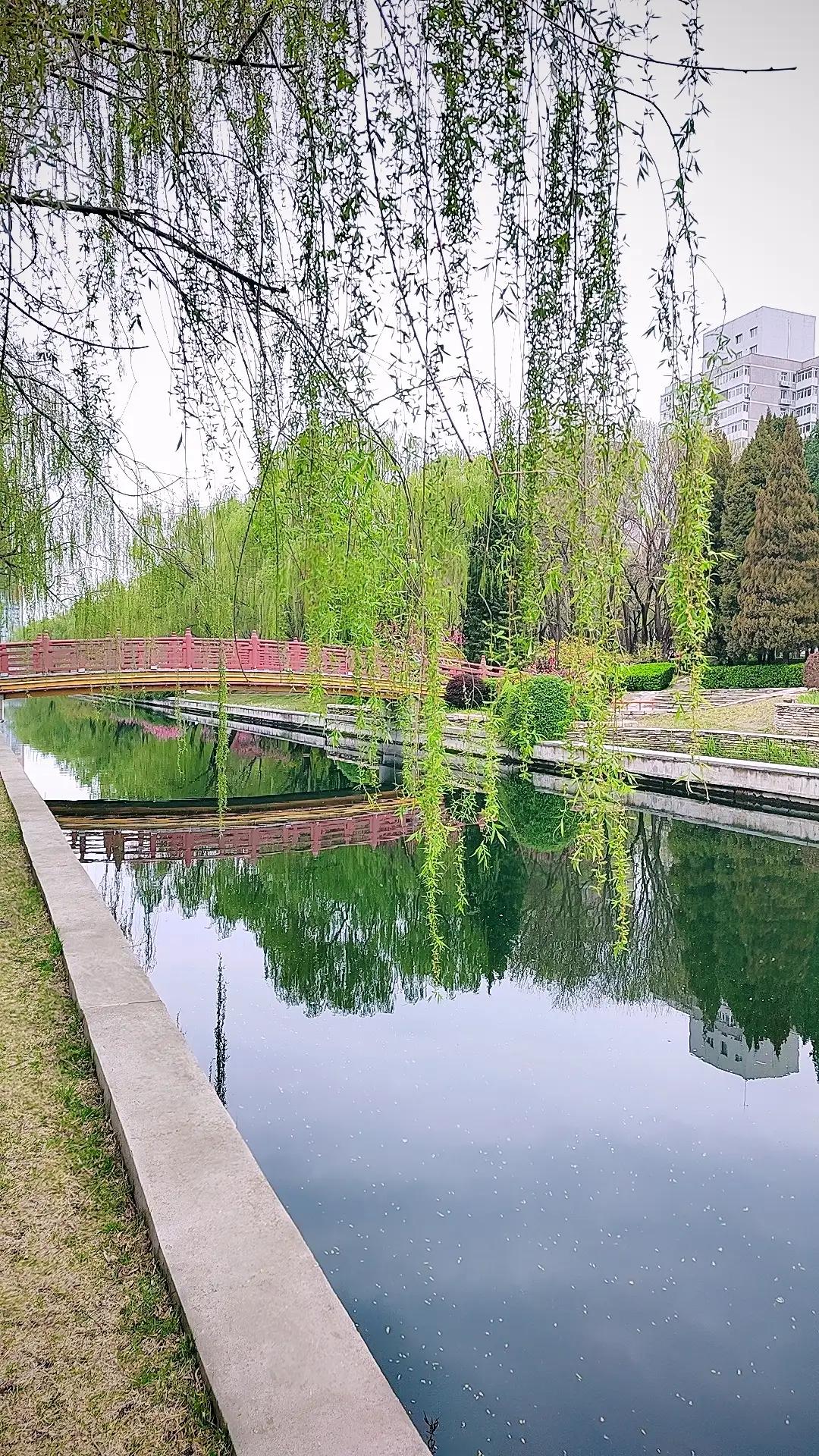 Qingming, outing in Beijing - iMedia