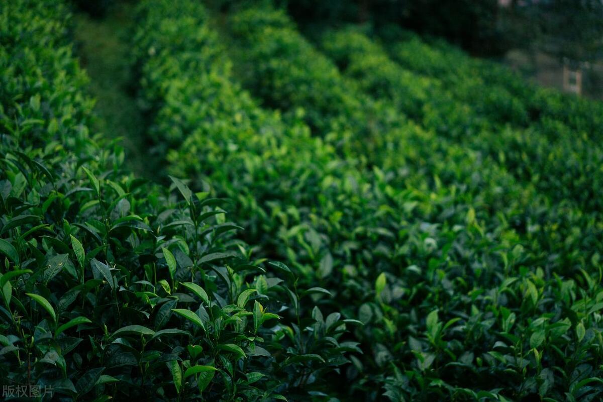 Ancient summer art: How did the ancients avoid the heat without air ...