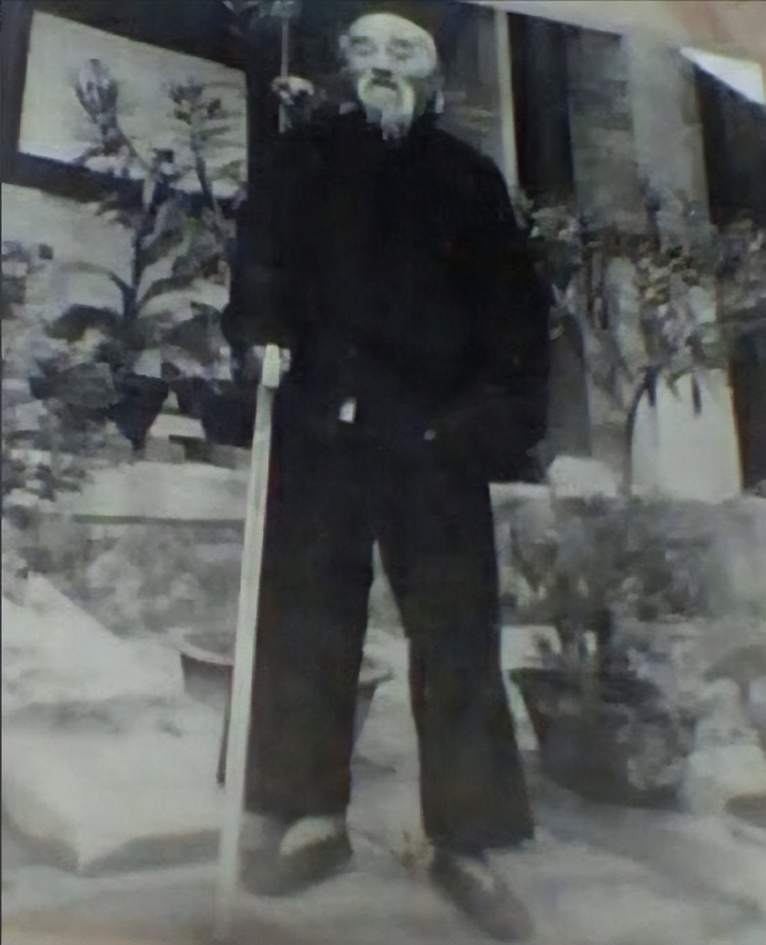 Lin Biao hasn't married Wang Jingyi for many years, Wang Jingyi: It ...