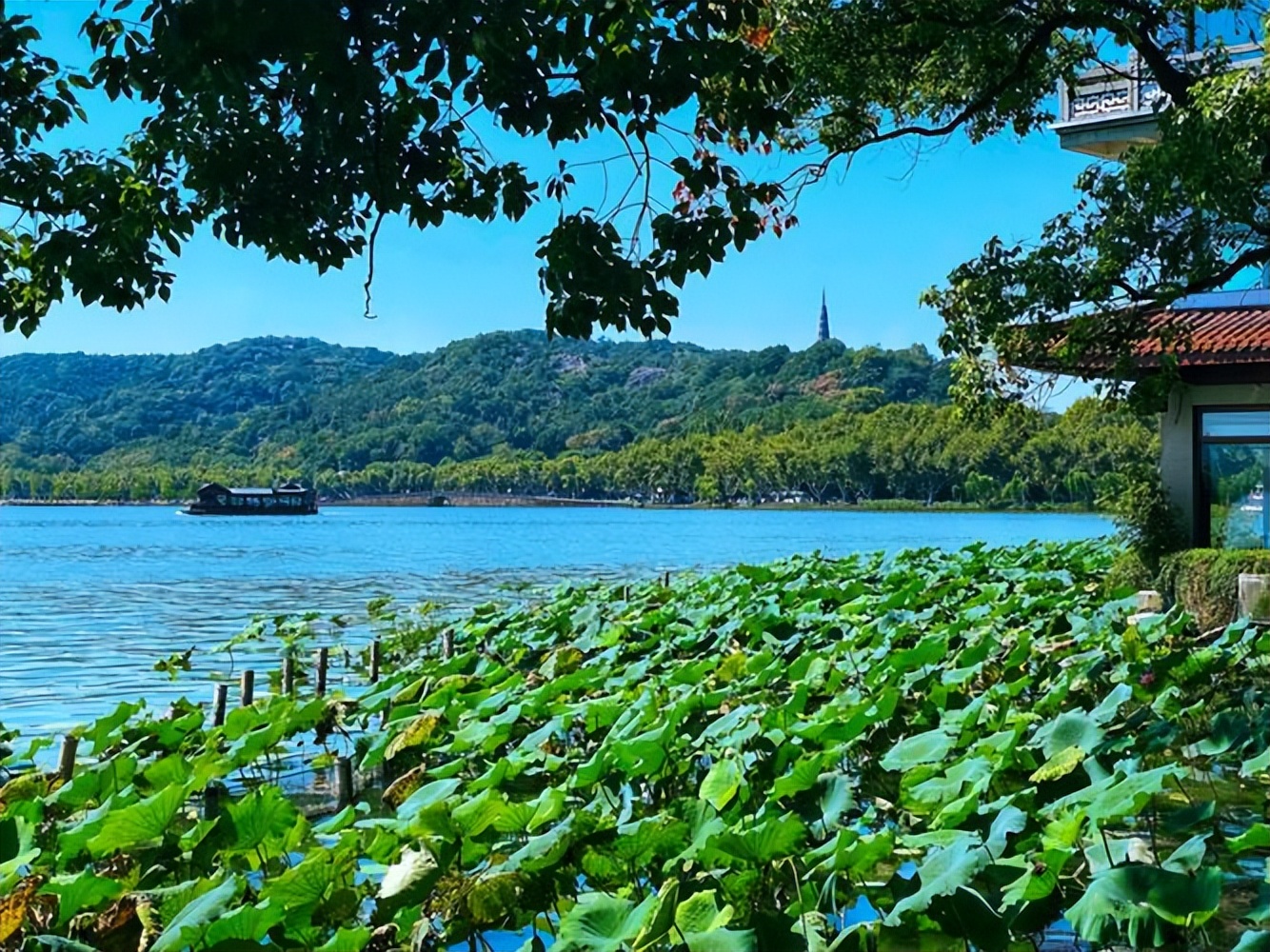Hangzhou Park, which is more beautiful than the West Lake, is a place ...