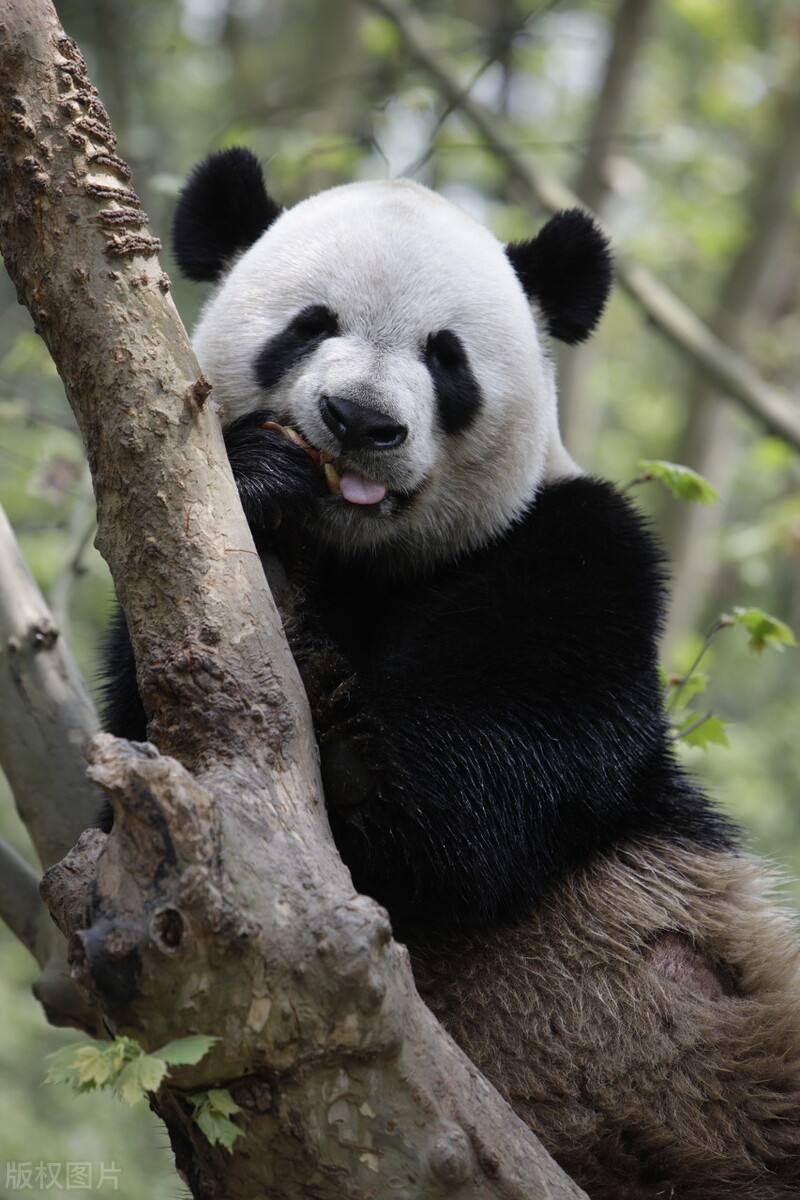 Live in the global village, we are a family, have you seen these wild ...