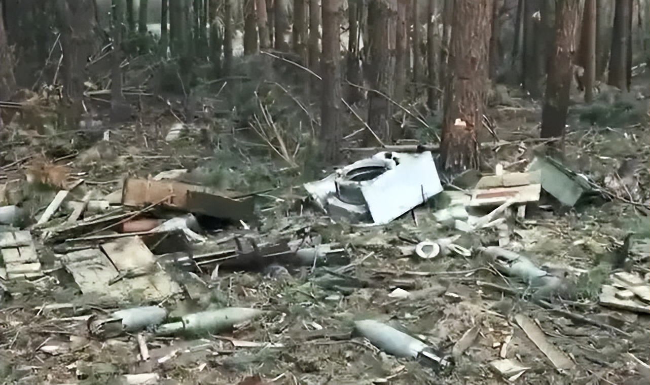 Your "love", please don't hurt - the deep love of Russian soldiers for ...