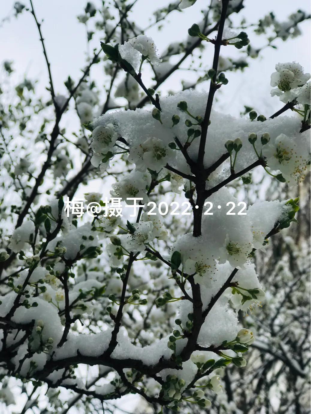 20220222 Kunming snow scene blockbuster: wash away the dust, wash away ...