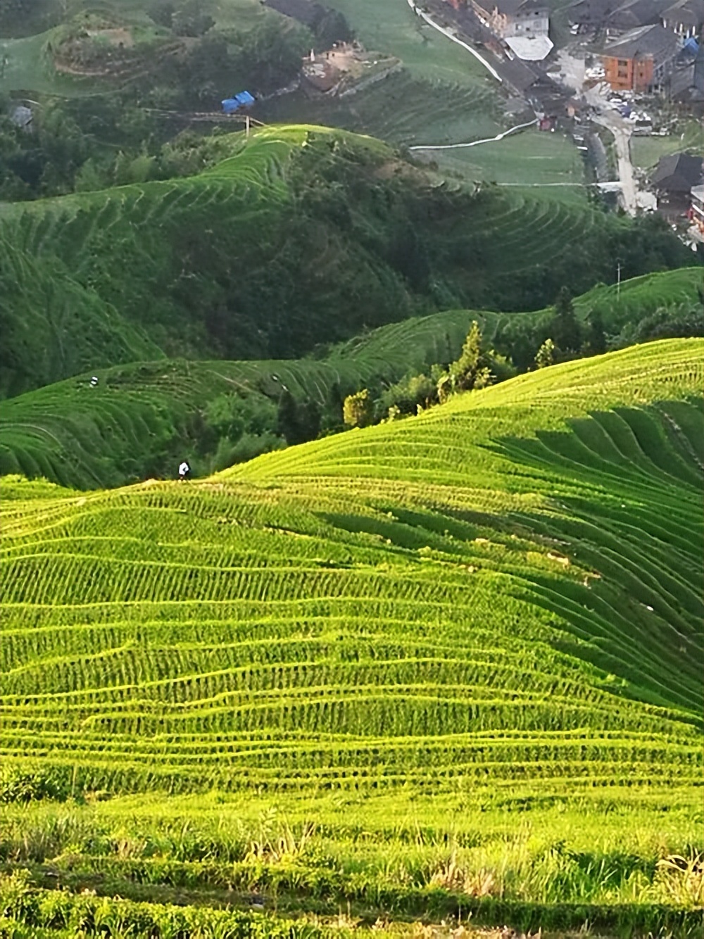 One of the most beautiful terraced fields in China, the Longji Terraced ...