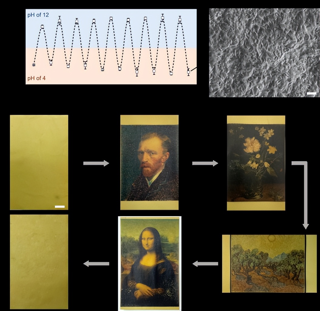 novel!Reusable "pollen paper" to protect information security - iNEWS