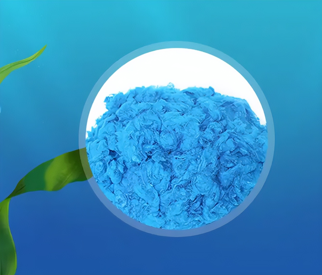 The sea contains hundreds of rivers - seaweed fiber, do you know it ...