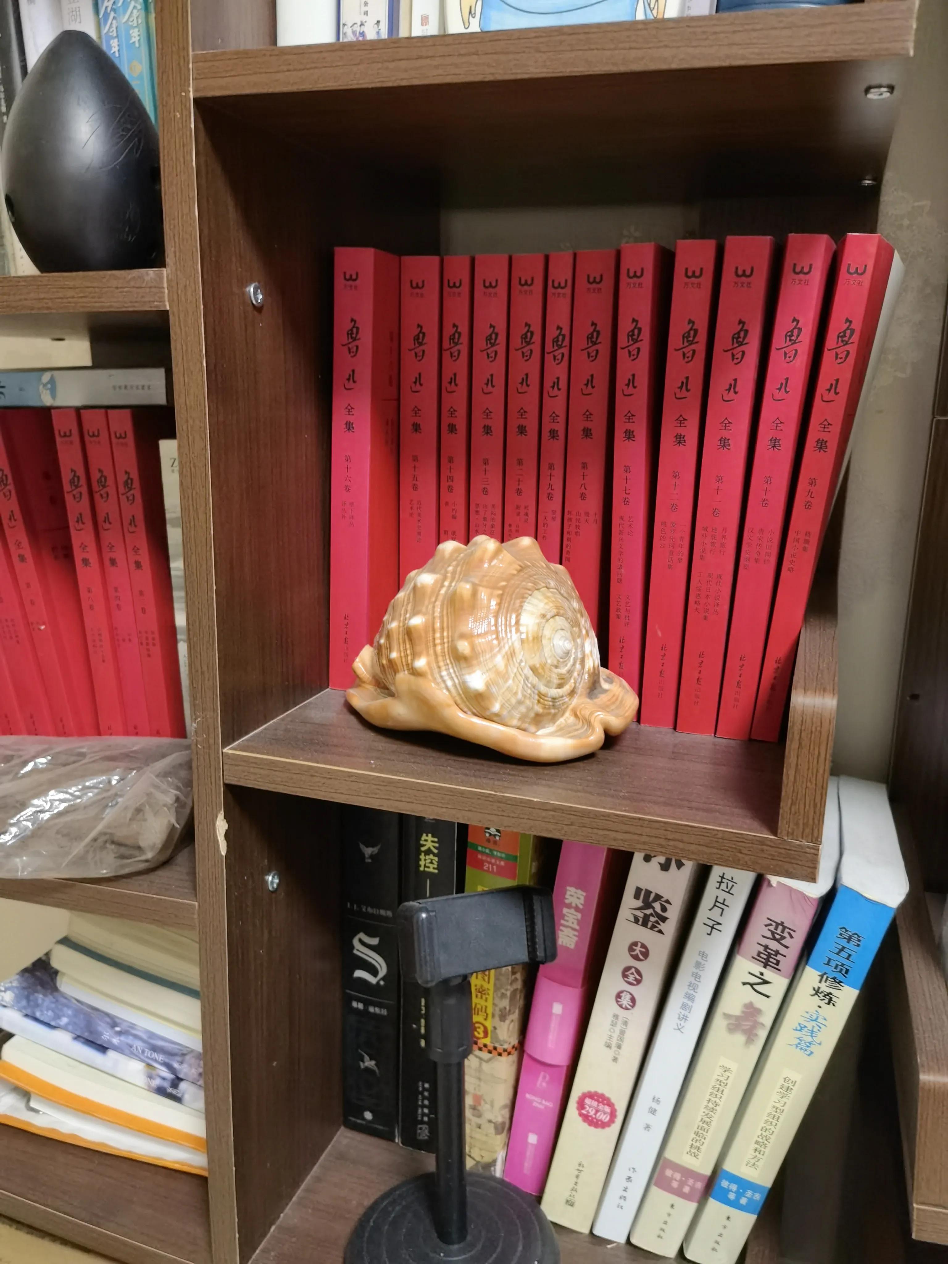 Thinking of Sima Xiangru and Zhuo Wenjun from "Sorrowful Death ...