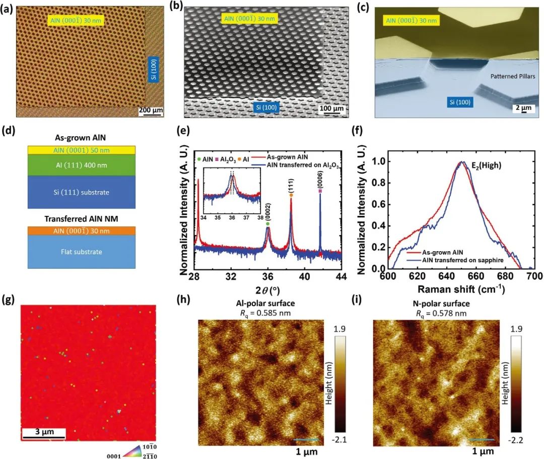 Transferable single crystal AlN nanofilms, co-doped AlN thin films - iNEWS