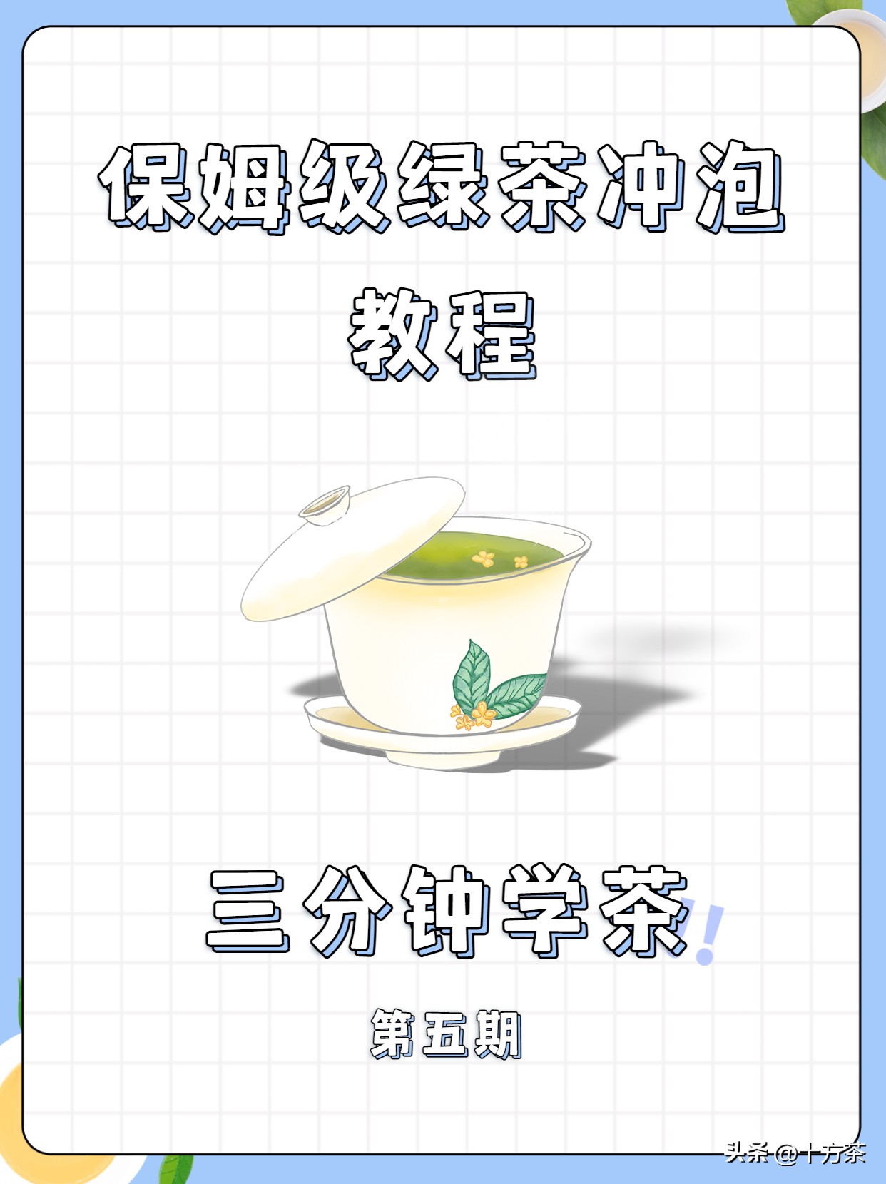 Learn Tea in Three Minutes, Issue 5, Guide to Brewing Nanny-Grade Green ...