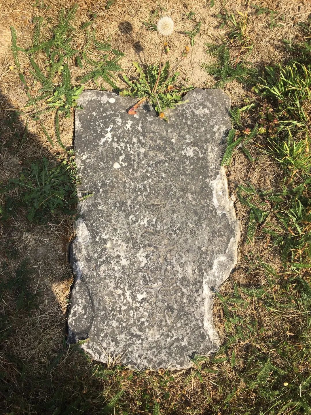 Vancouver Tomb Notes: A Mountain View Cemetery, Half of Vancouver ...