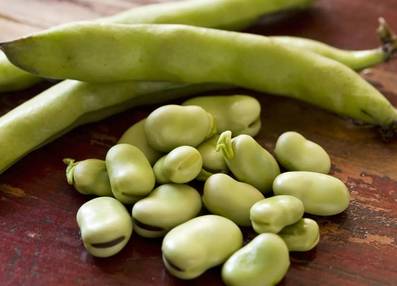 Eating beans in summer is better than meat - iNEWS