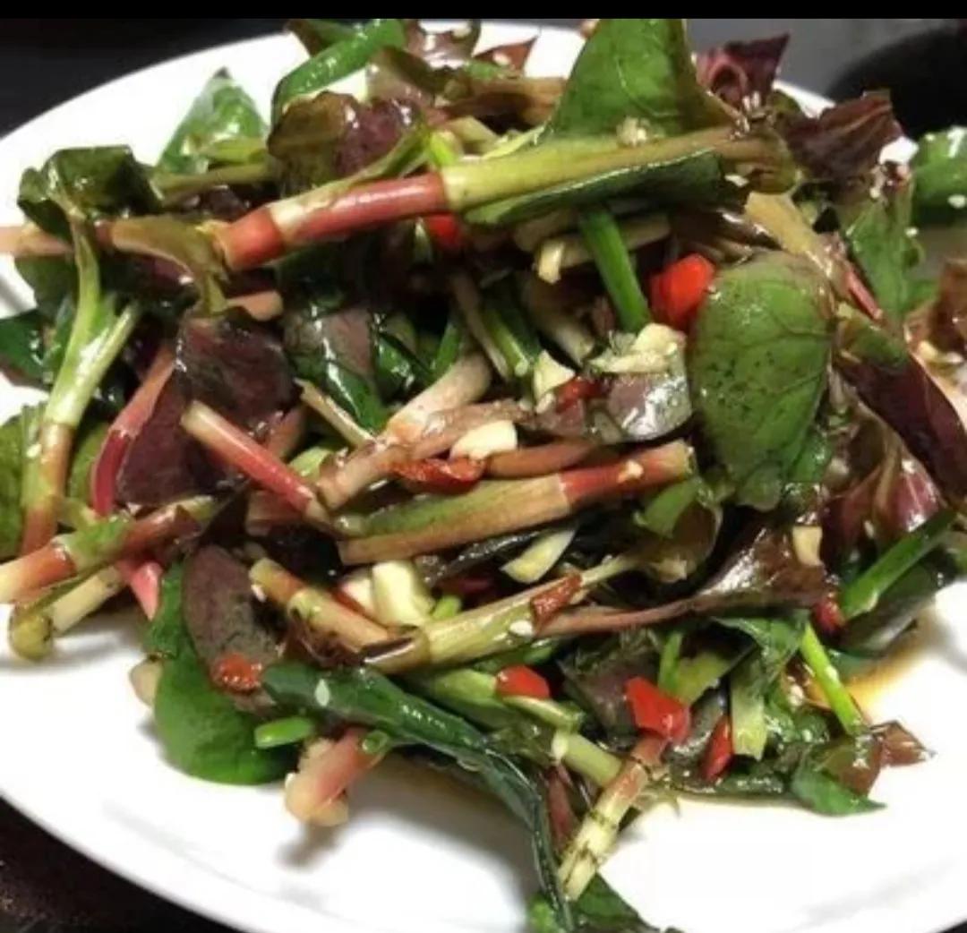 Is Houttuynia cordata (Zheergen) delicious? - iNEWS