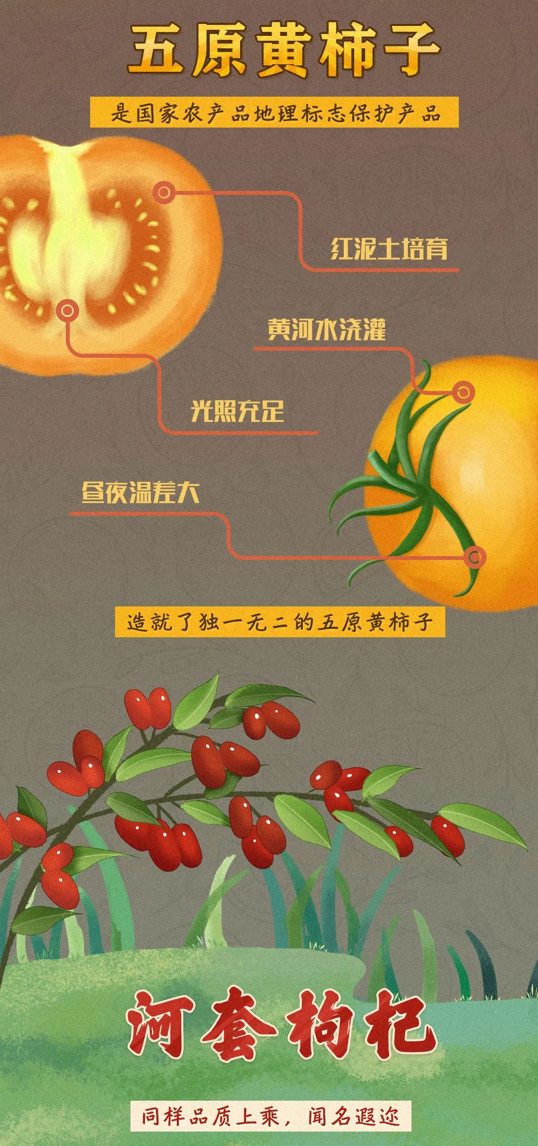 The cool breeze blows, the beautiful Hetao autumn - iNEWS