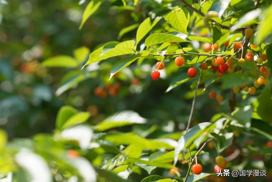 At a glance, the stunning eight-character phrases will heal your heart ...