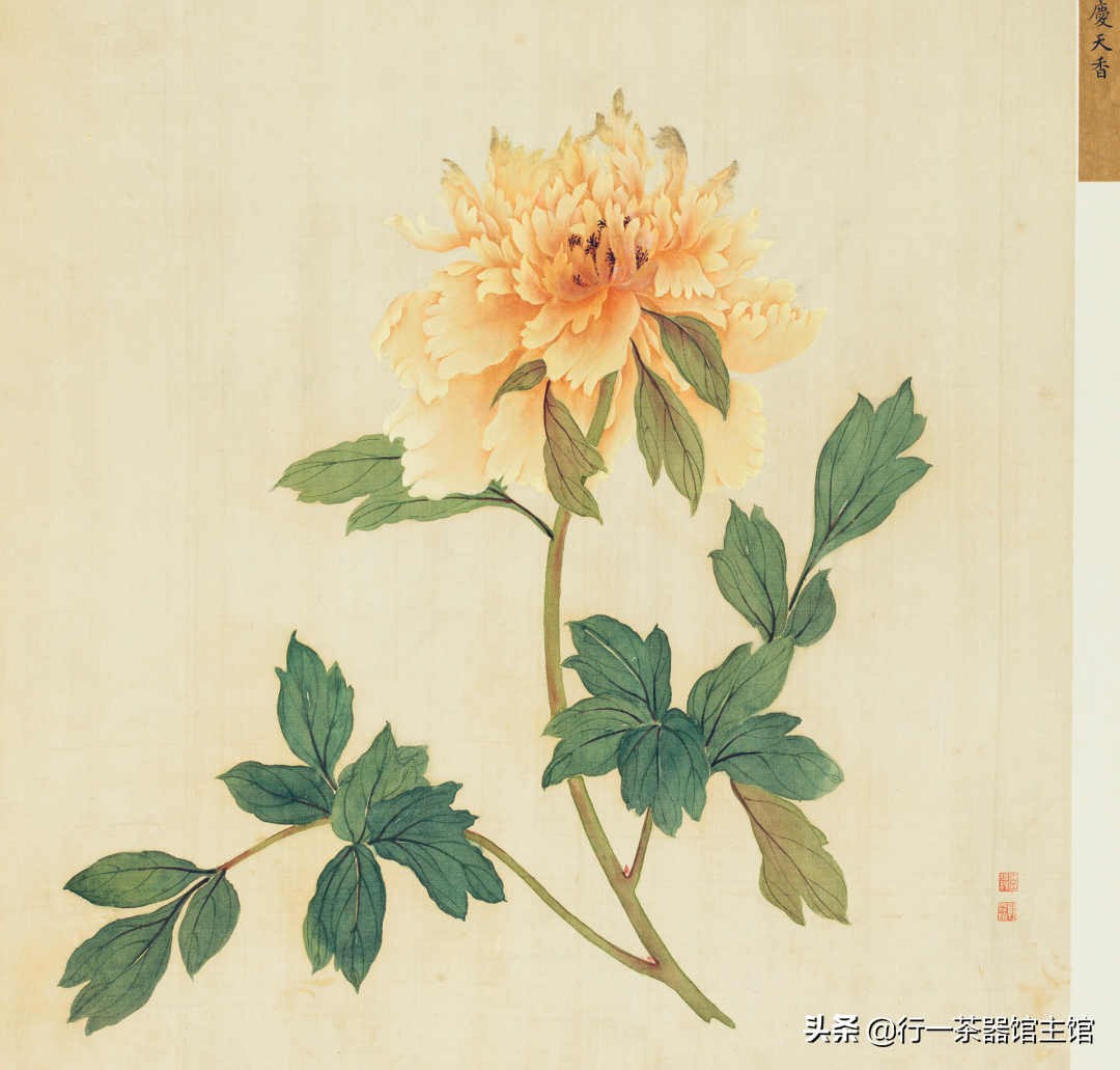 Unparalleled in the world, the first flower in the world - iNEWS
