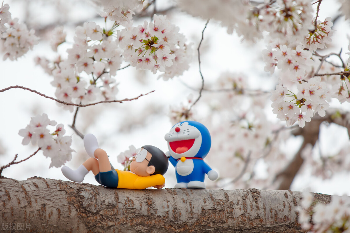 Doraemon is back? (Middle) - Nobita's Growth - iNEWS