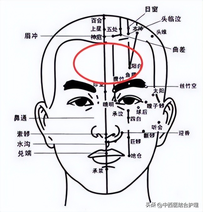 "Acupoint Health" has four acupuncture points on the hand, which can be ...