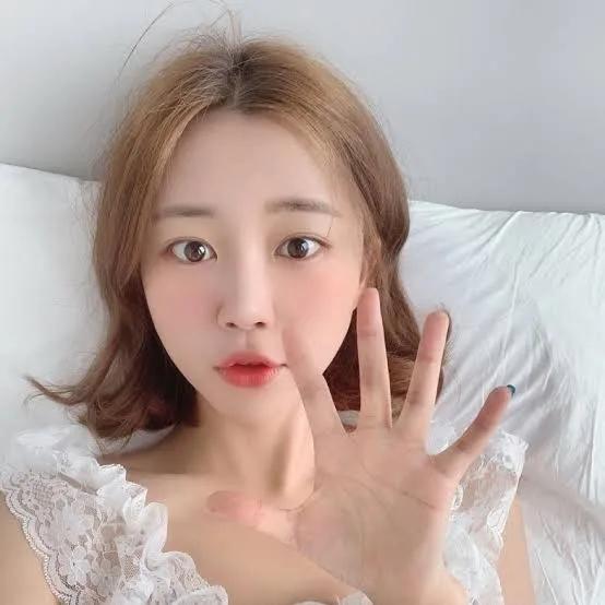 The South Korean wolf is only one day away from being released from ...