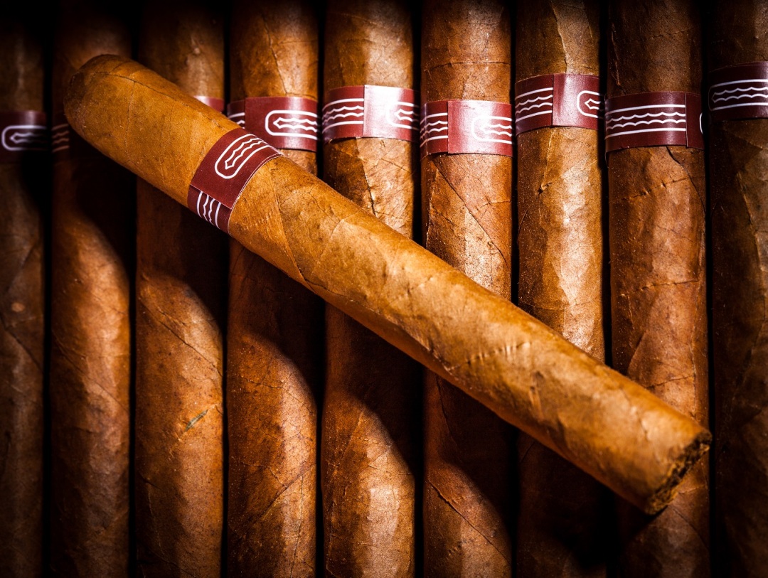 The cigar circle also has a chain of contempt? Are you the one who is ...