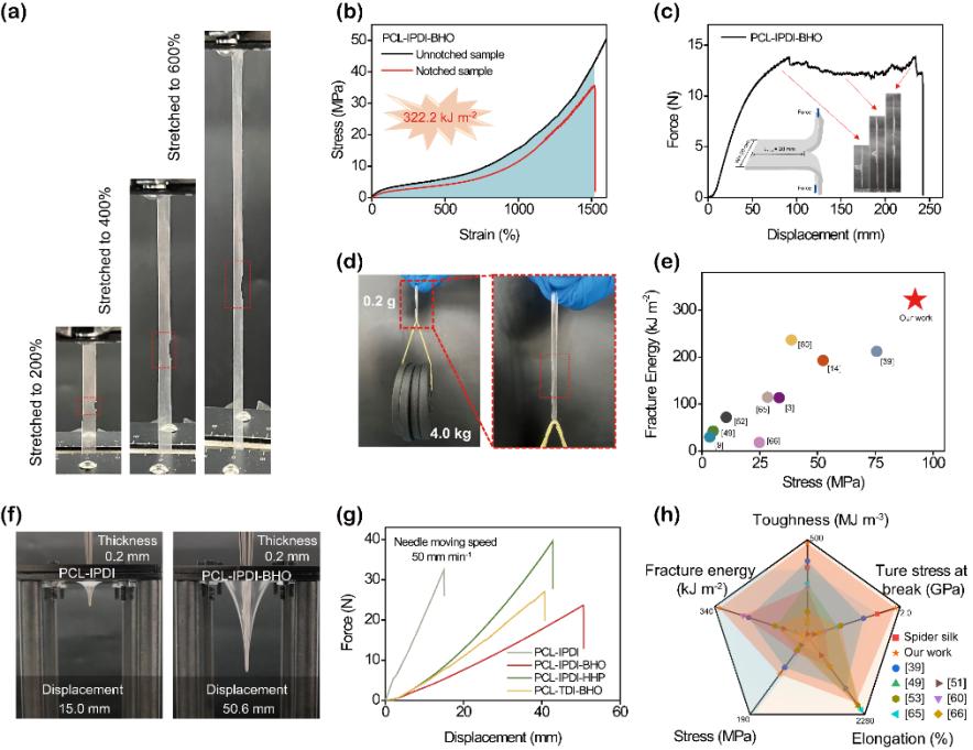 [AM]Xi'an Jiaotong University has made new progress in the research of ...