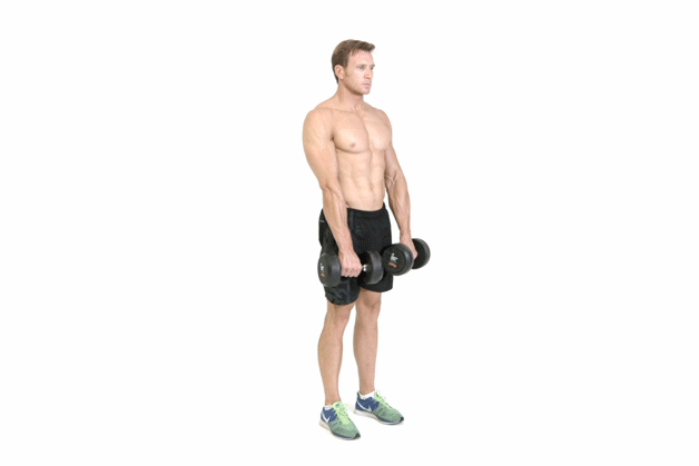 How to use dumbbells to exercise the whole body muscles? How do men and ...