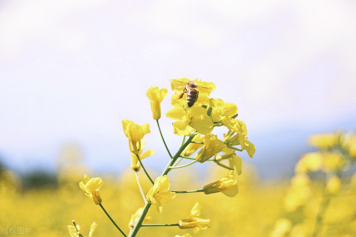 How to get rid of the definition of parents and have an independent ...