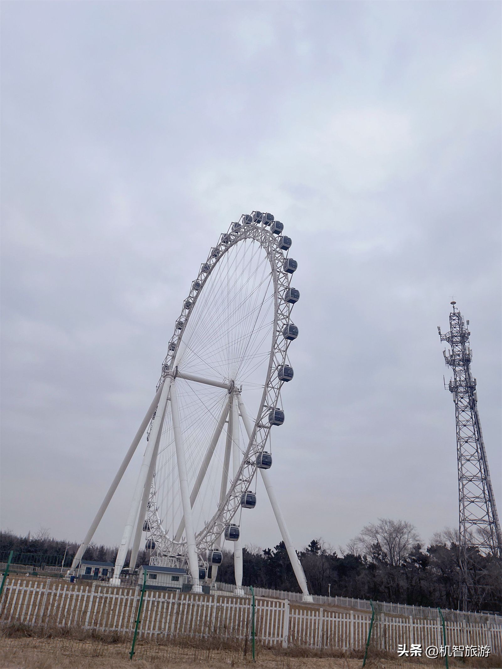 Rizhao Travel Notes, a detailed introduction to Rizhao Seaside Forest ...