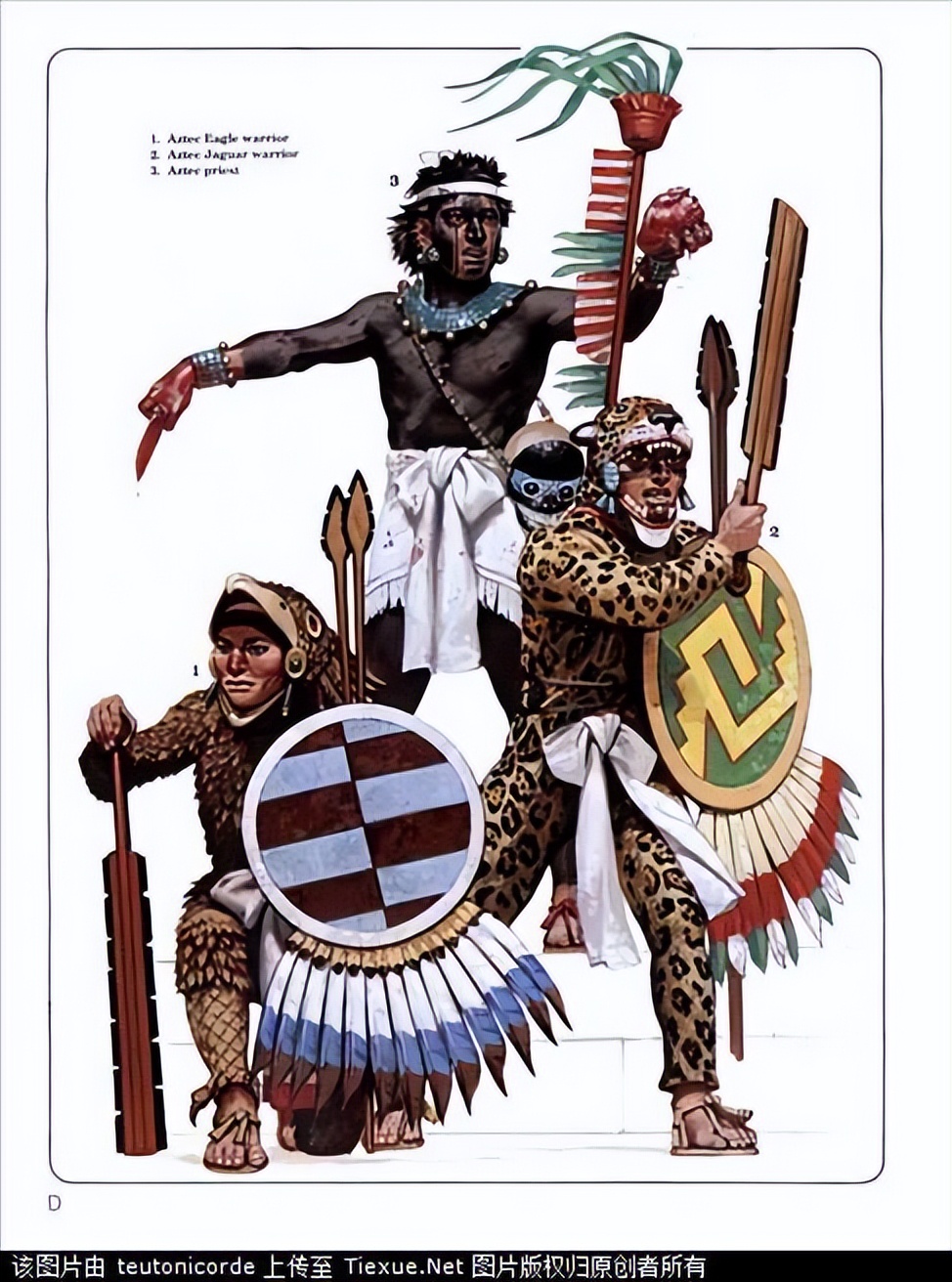 History of Mayan Civilization——What was the Maya's political system and ...
