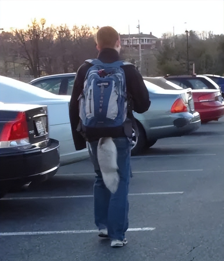 Why do girls wear tails in public? - iNEWS