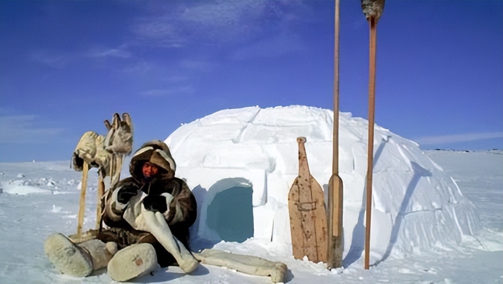 Why do Inuit live in igloos in the Arctic? Their way of life is amazing ...