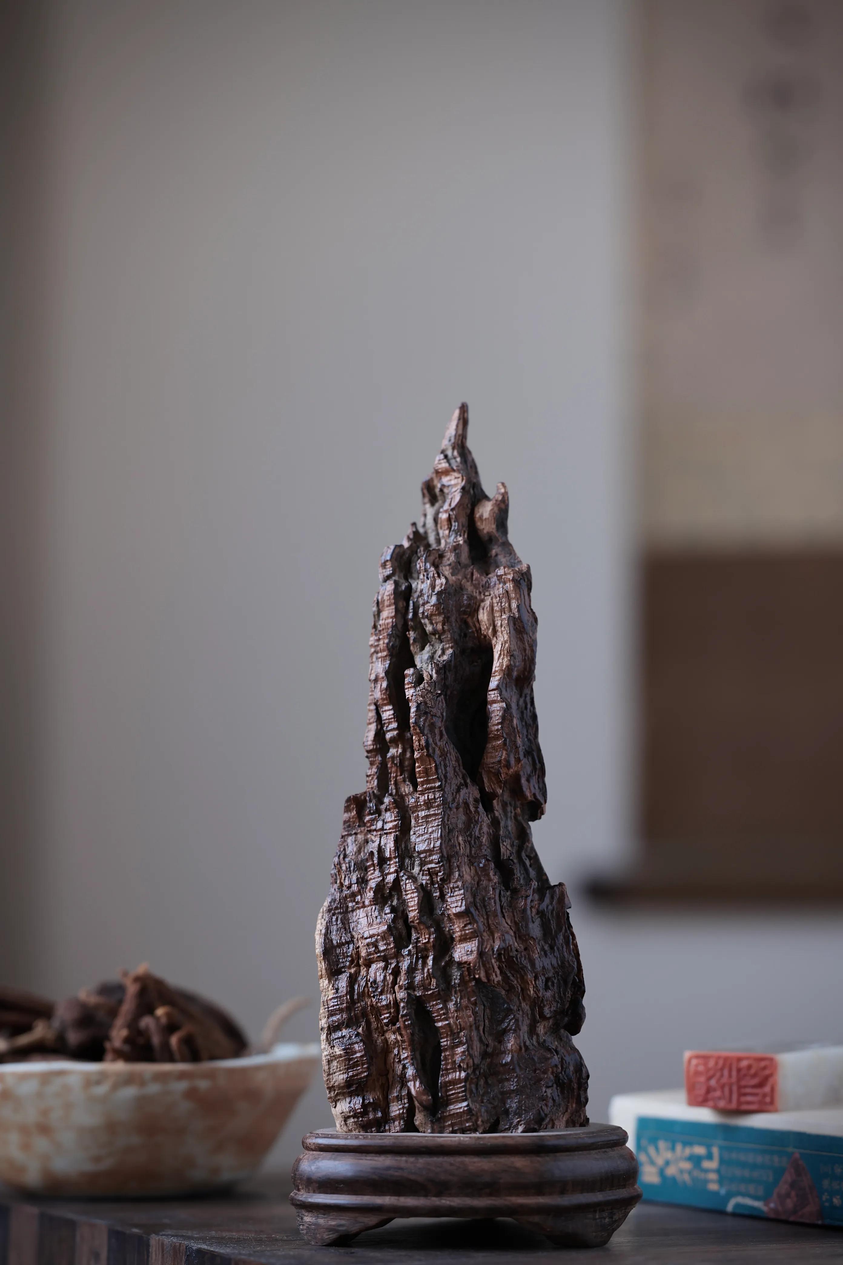 Shanzi Ornament - iNEWS