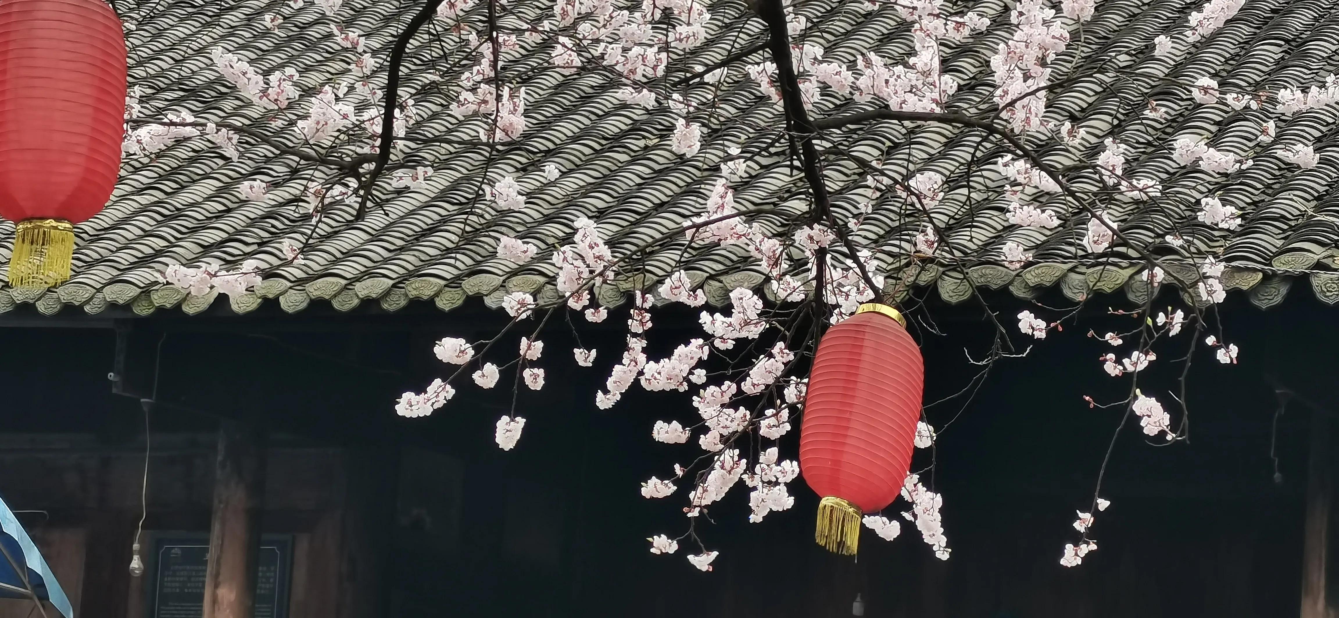 Xinghua in the Li Family Courtyard, Fanghua finally met - iNEWS