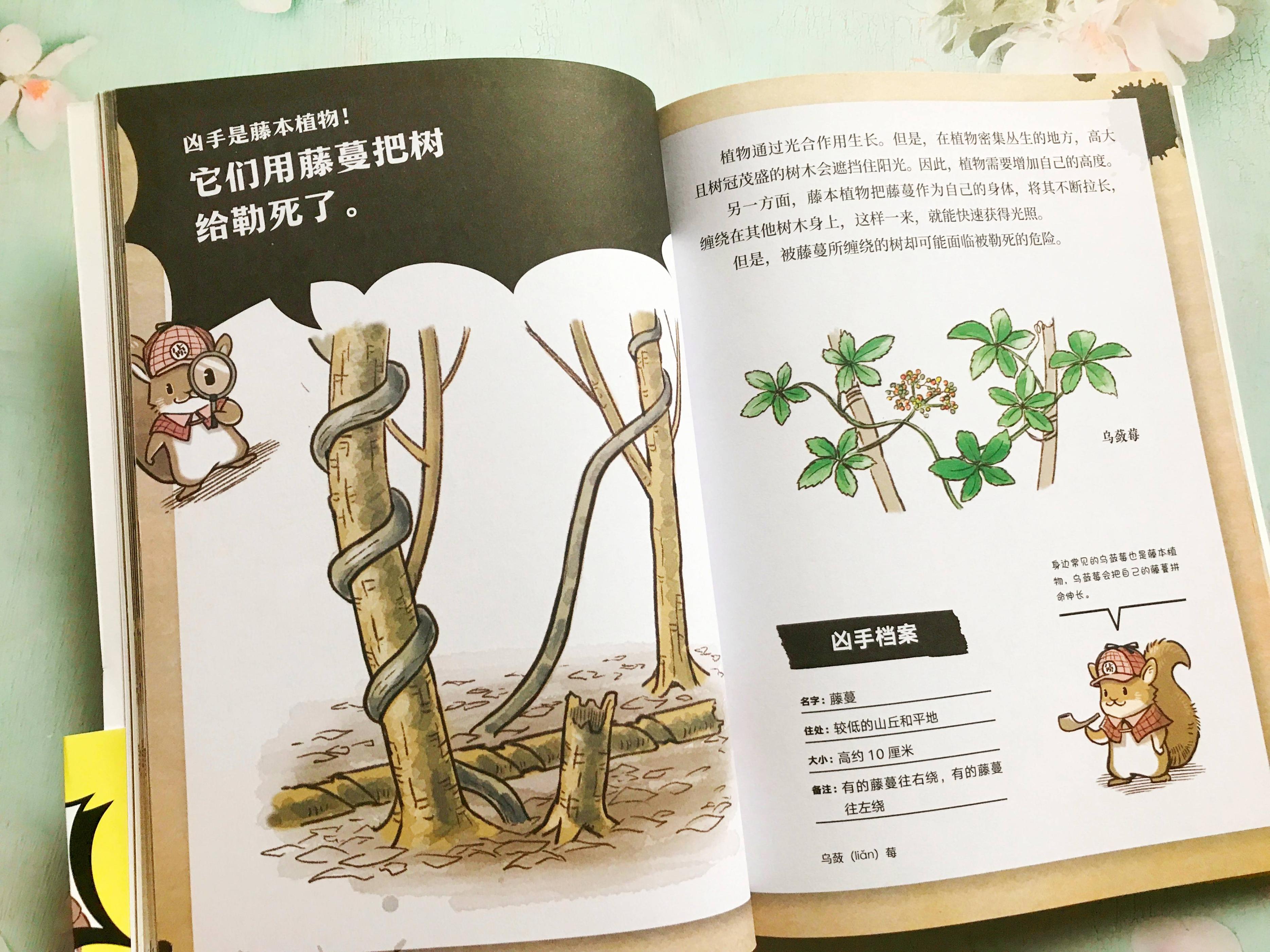 "Forest Detective Event Book" "The Witty Life of Animals" deciphers the ...