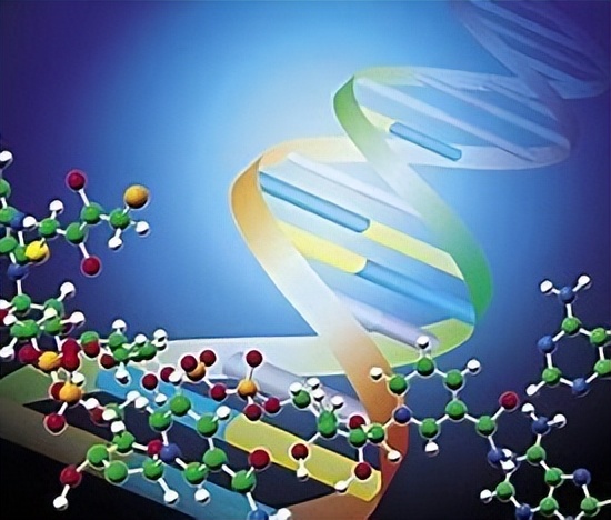 Gene Mutations and Inherited Diseases: Human Genetic Variability - iMedia