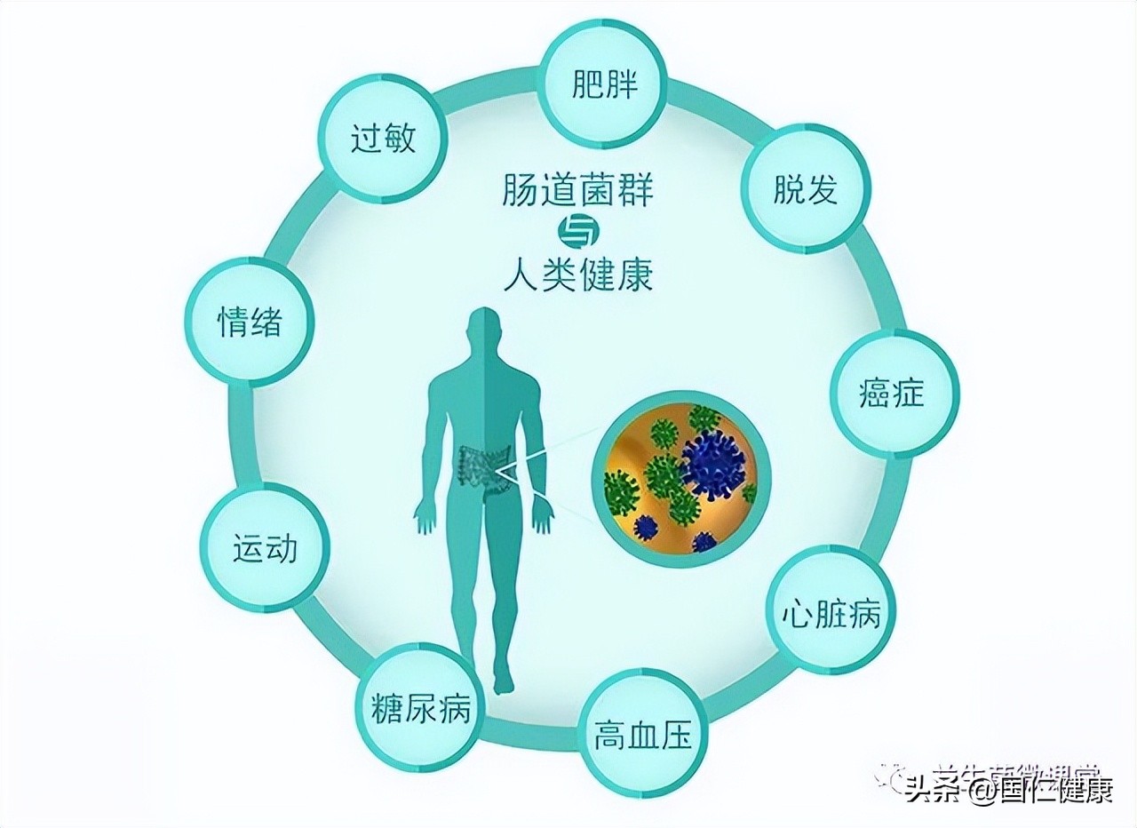 Intestinal flora imbalance self-examination, do you have these symptoms ...