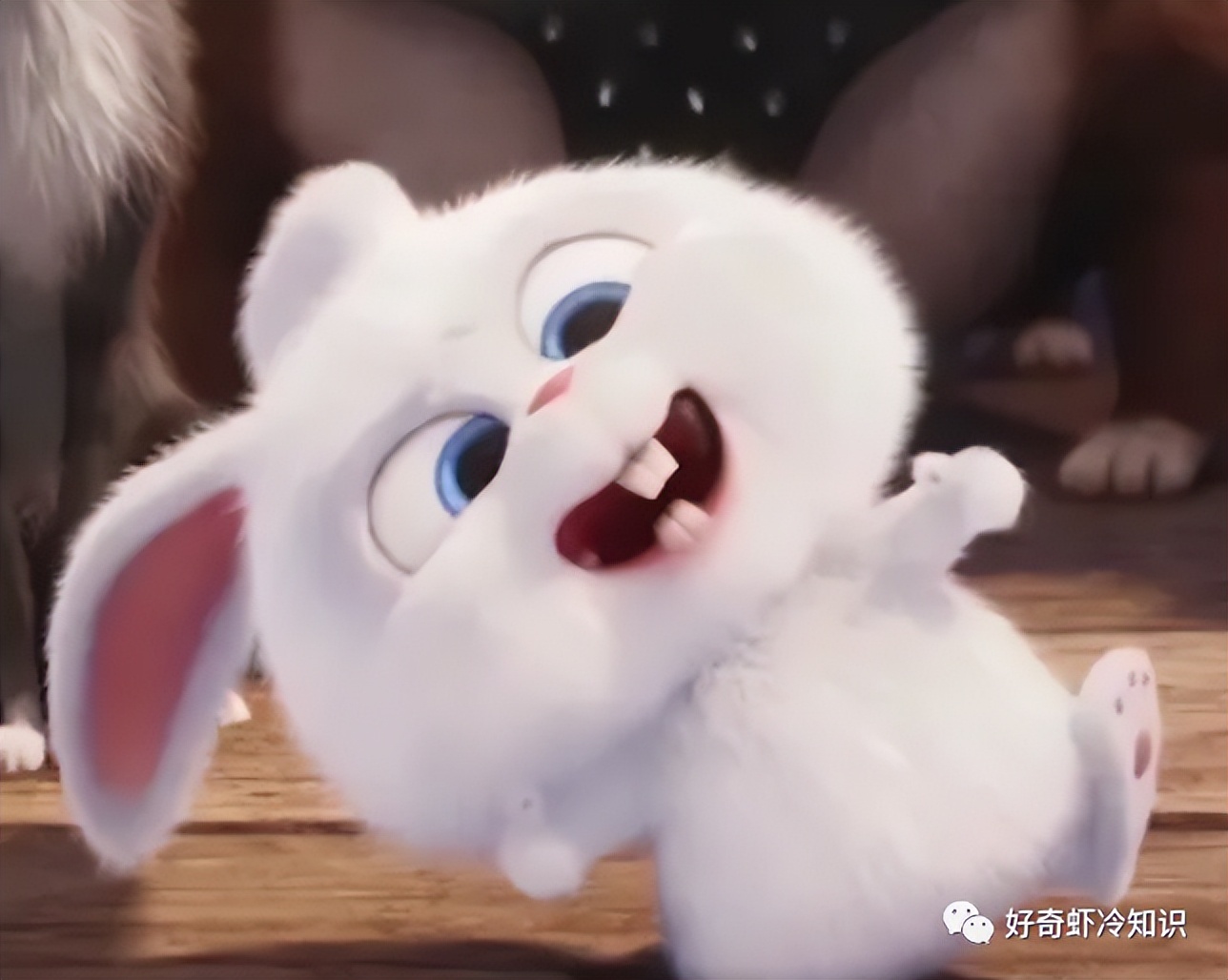 Does human hair rot?Why do you always feel tired easily?Left and right ...