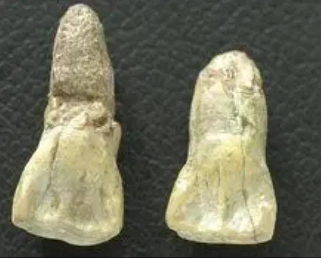 The ruins of Yuanmou people, Yuanmou people are the origin of human ...