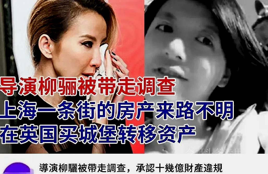 Director Liu Li was arrested and taken away, and mysterious properties ...