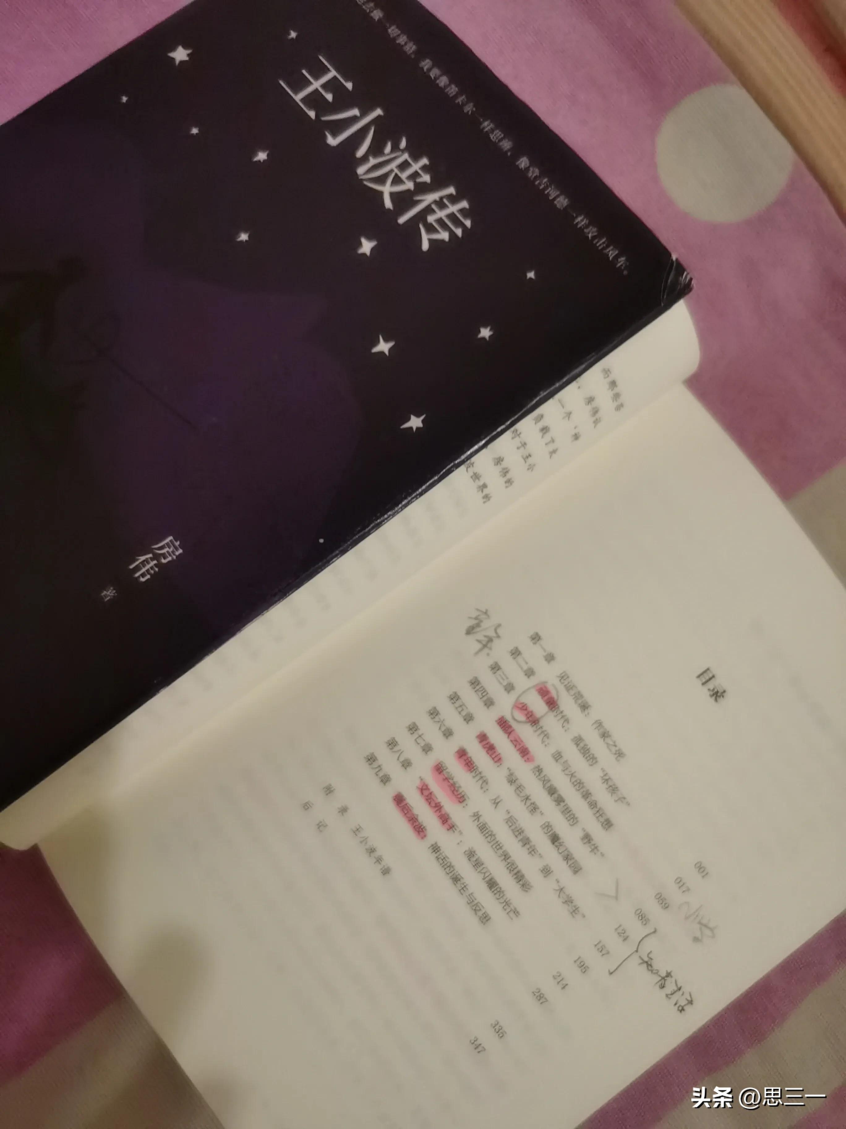 The love between Wang Xiaobo and Li Yinhe is the catalyst in Wang ...