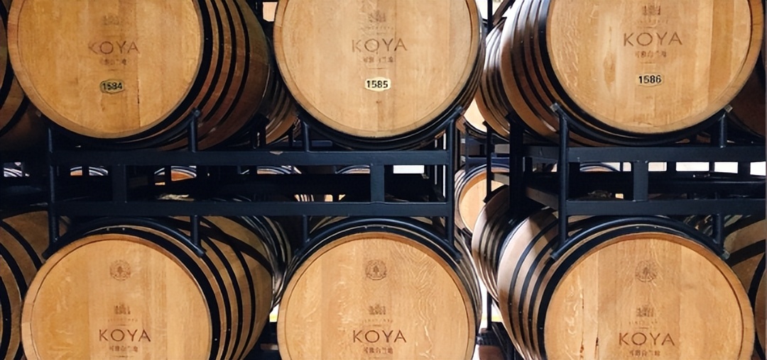 Koya Brandy - XO in China, Koya in the world - iNEWS