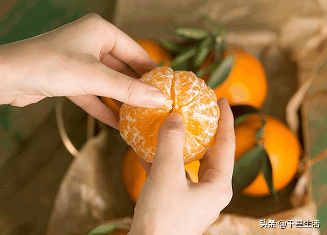 Ehime No. 38 Jelly Orange, a connotative orange queen, is simply the ...